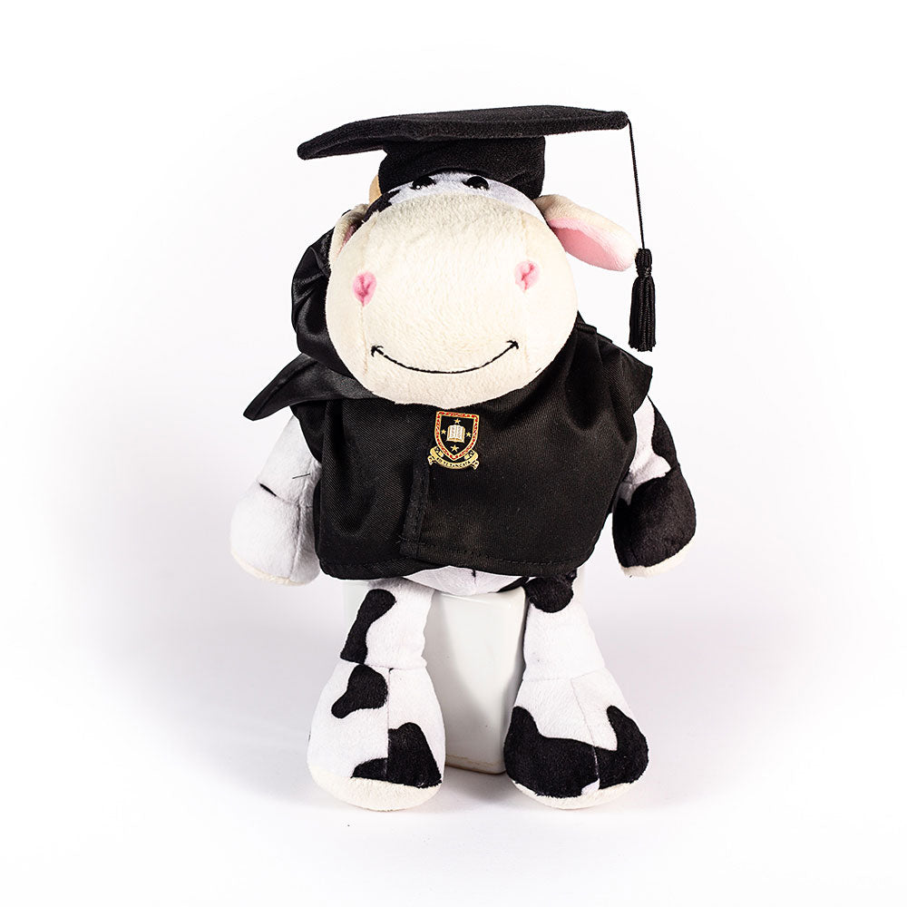 Graduation Gifts and Memorabilia – Waikato Uni Shop